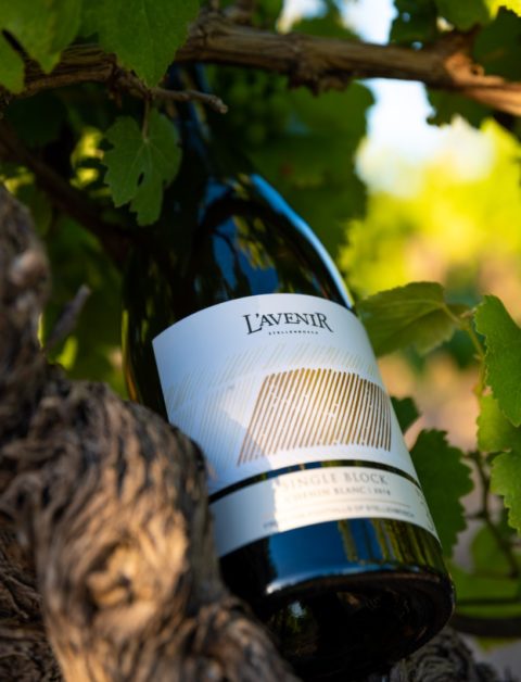 Et si on regardait vers L'Avenir ? ADVINI SOUTH AFRICA - Advini